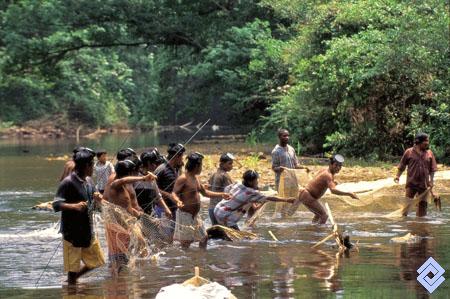 Banco de Occidente :::. Indígenas pescando en una quebrada en el alto ...