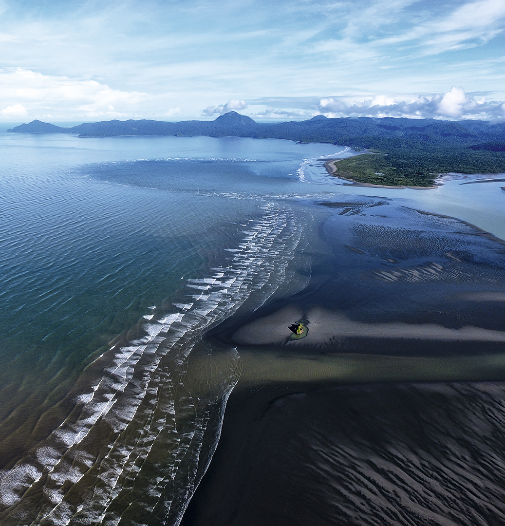 Capitulo 01 – Bosques entra la tierra y el mar